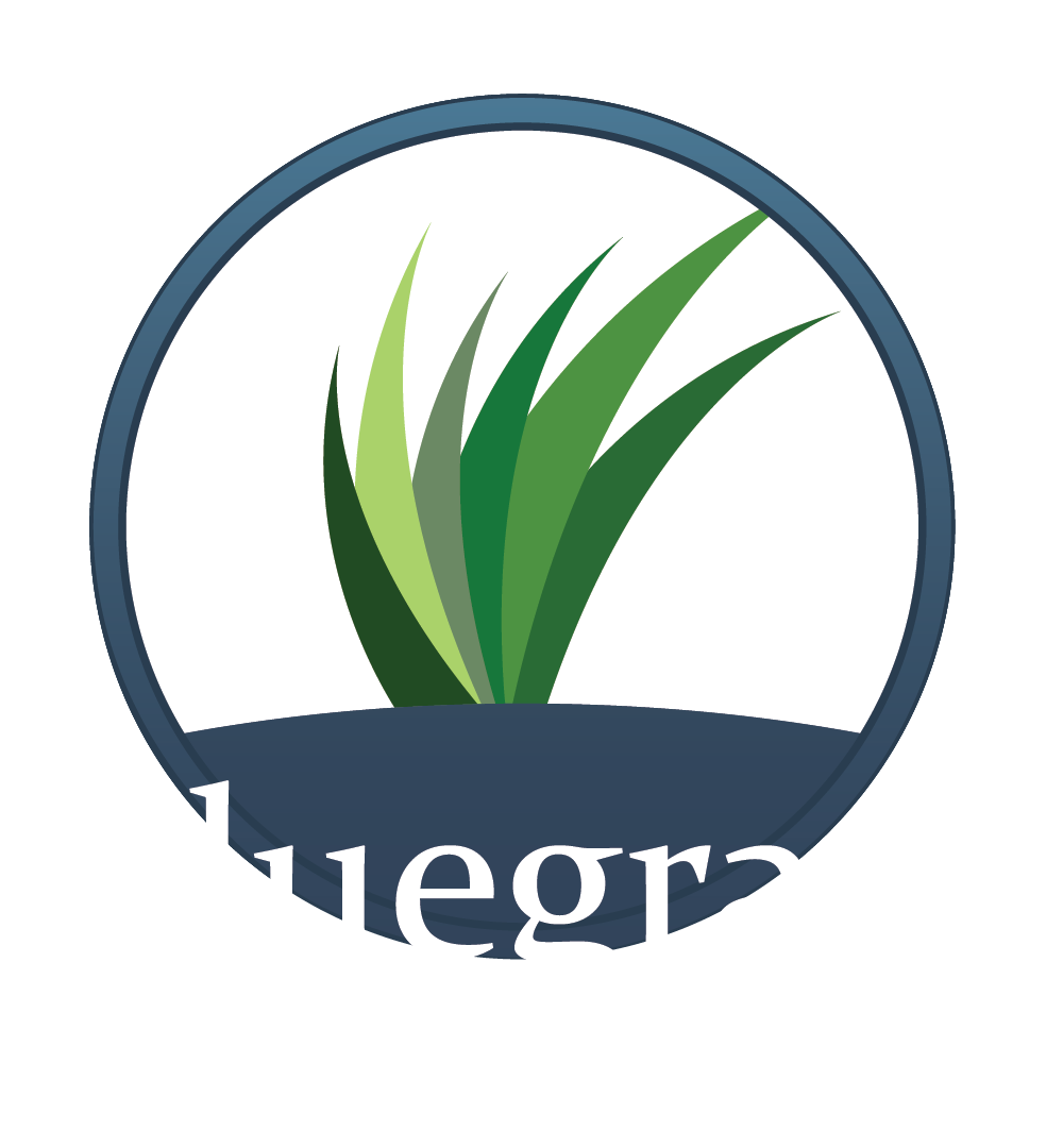 Bluegrass